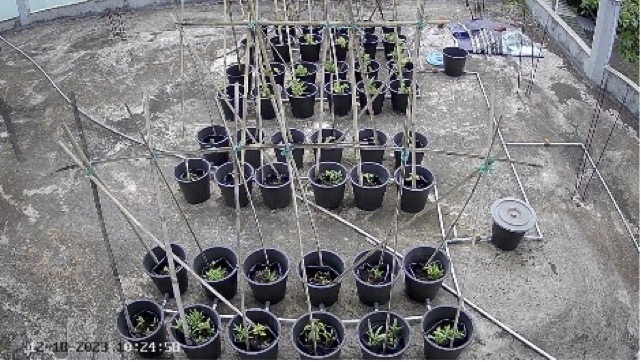 Diseminasi FONi (Fertigasi Otomatis Nirdaya) di Universitas Siliwangi ...